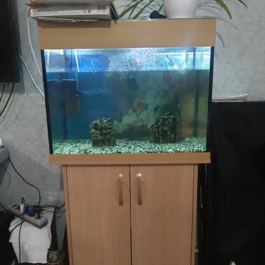 Аквариум на 100 литров