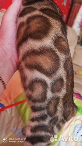 Эксклюзивная девочка