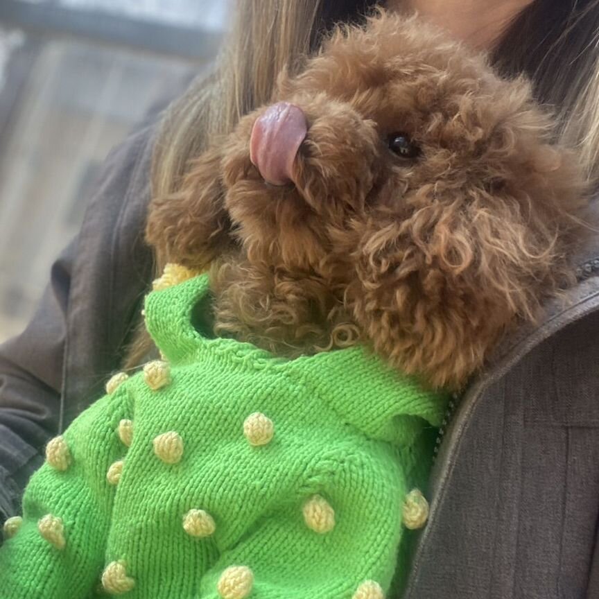 Яркий мальчишка резерв