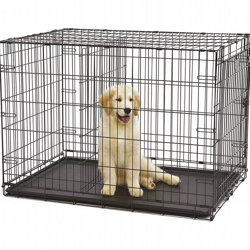 Аренда клеток для собак и кошек