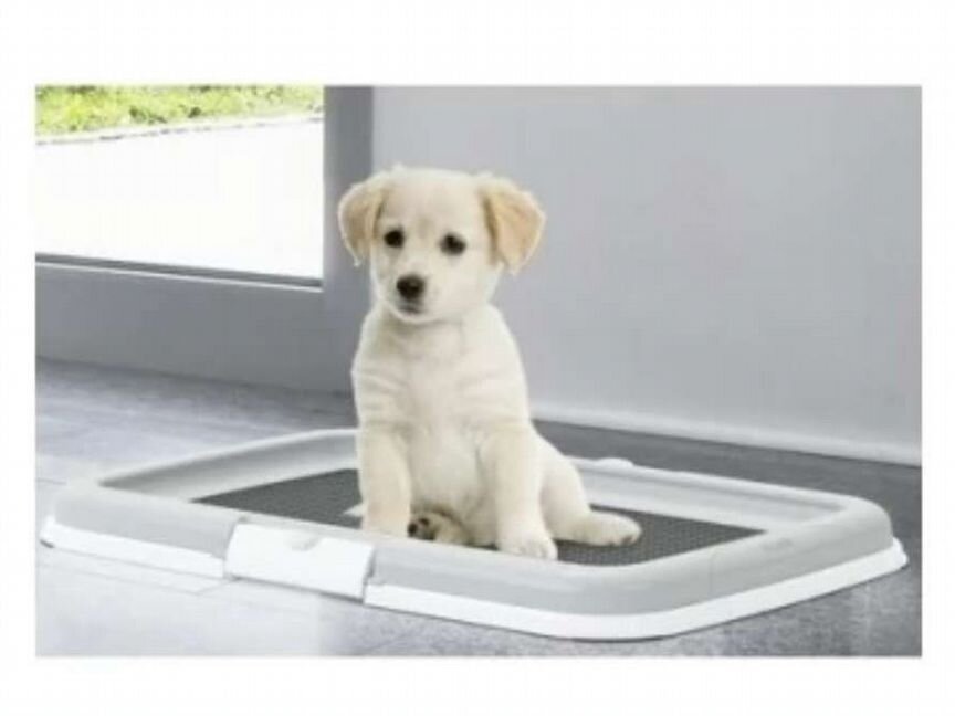 Набор для приучения к Туалету: рамка-держатель