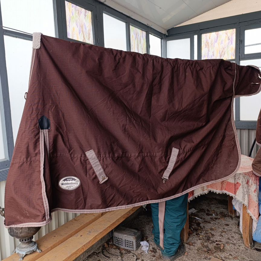 Попона для лошади демисезон