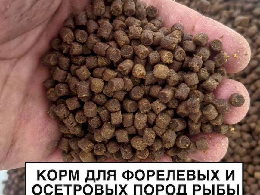 Корм для рыб