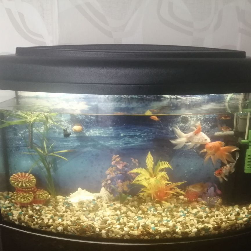 Аквариум 85 литров