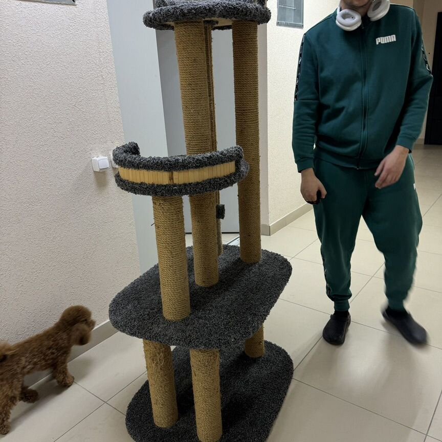Когтеточка для кошек