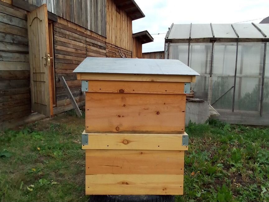 Улей для пчел