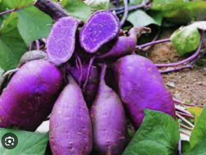 Батат, клубника, персик, свекла