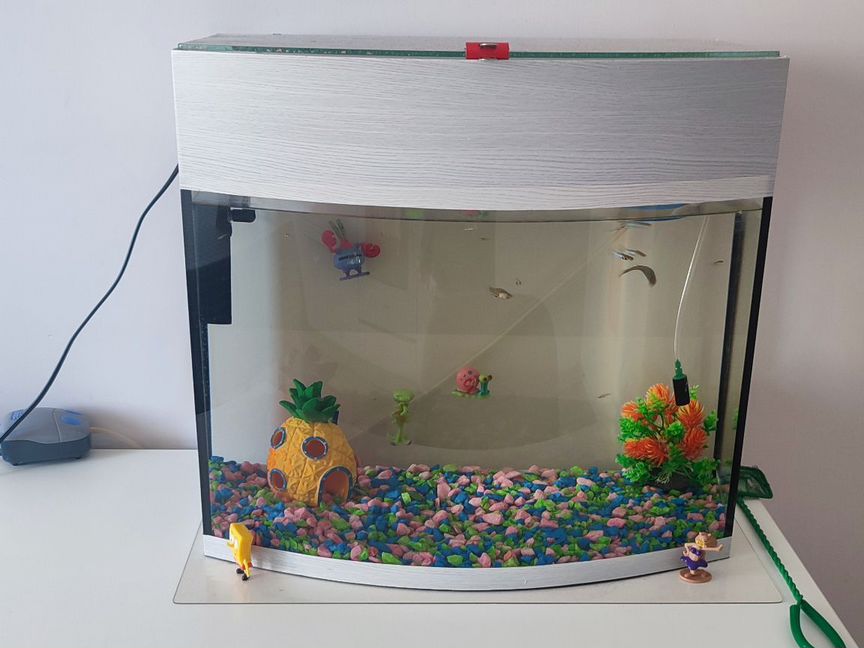 Аквариум с рыбками 30 л