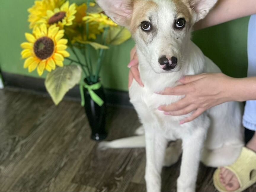 Молодой мальчик