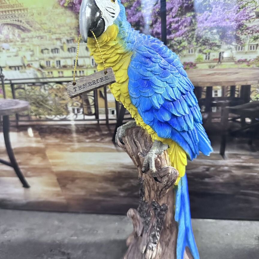 Попугай большой