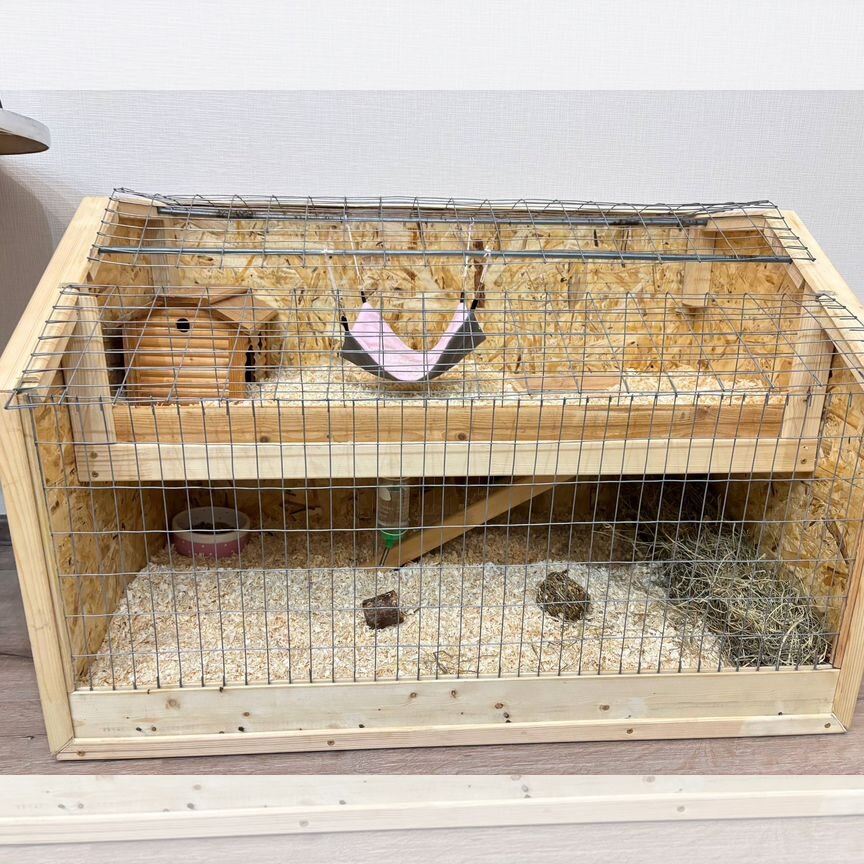 Витрина для животных