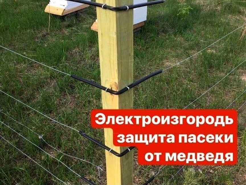 Электропастух для мясных крс