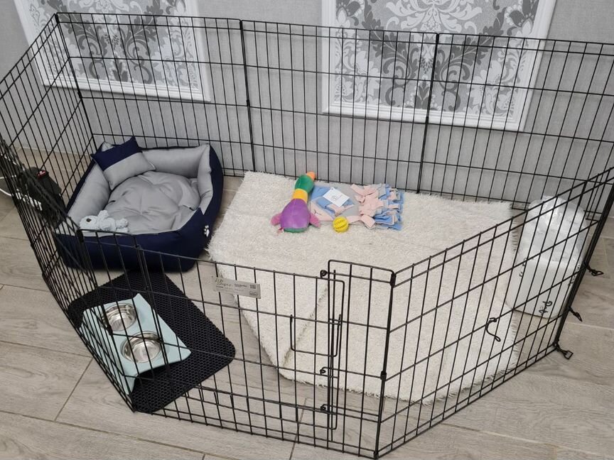 Вольер для собак