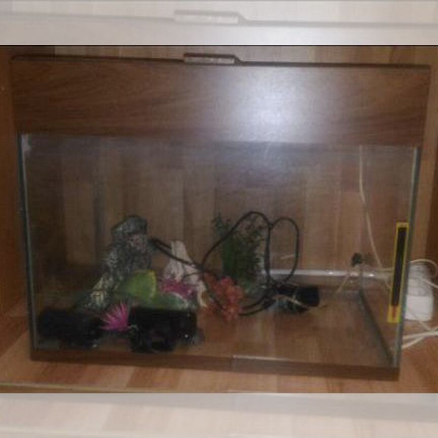 Аквариум 55 литров