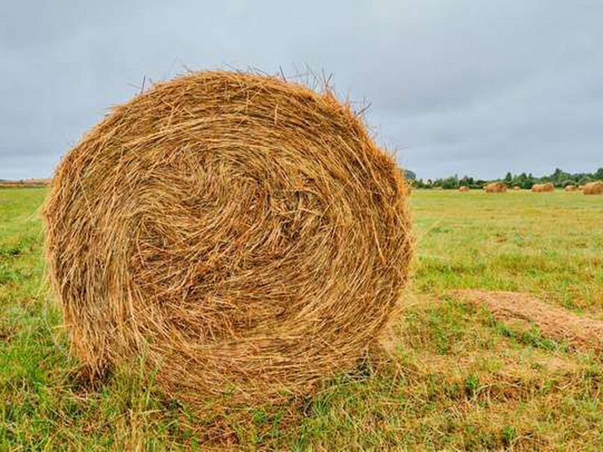 Солома в рулонах