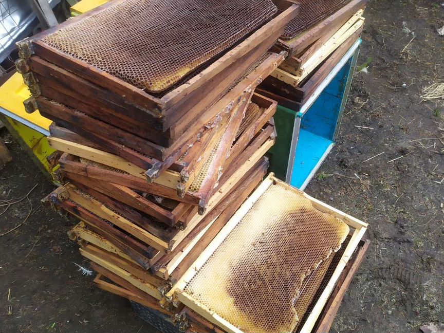 Пчелиные рамки