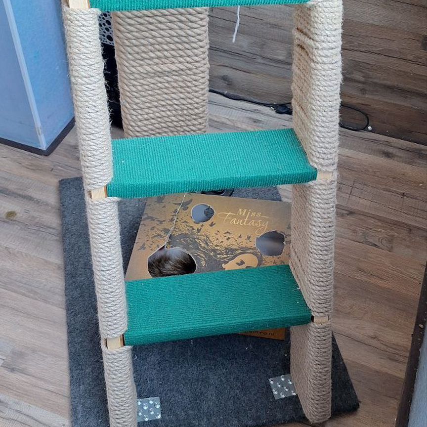 Когтеточка домик для кошки новая