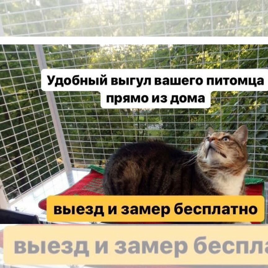 Балкончик для кошек/выгул