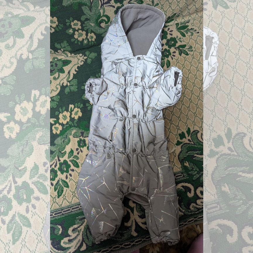 Одежда для собак