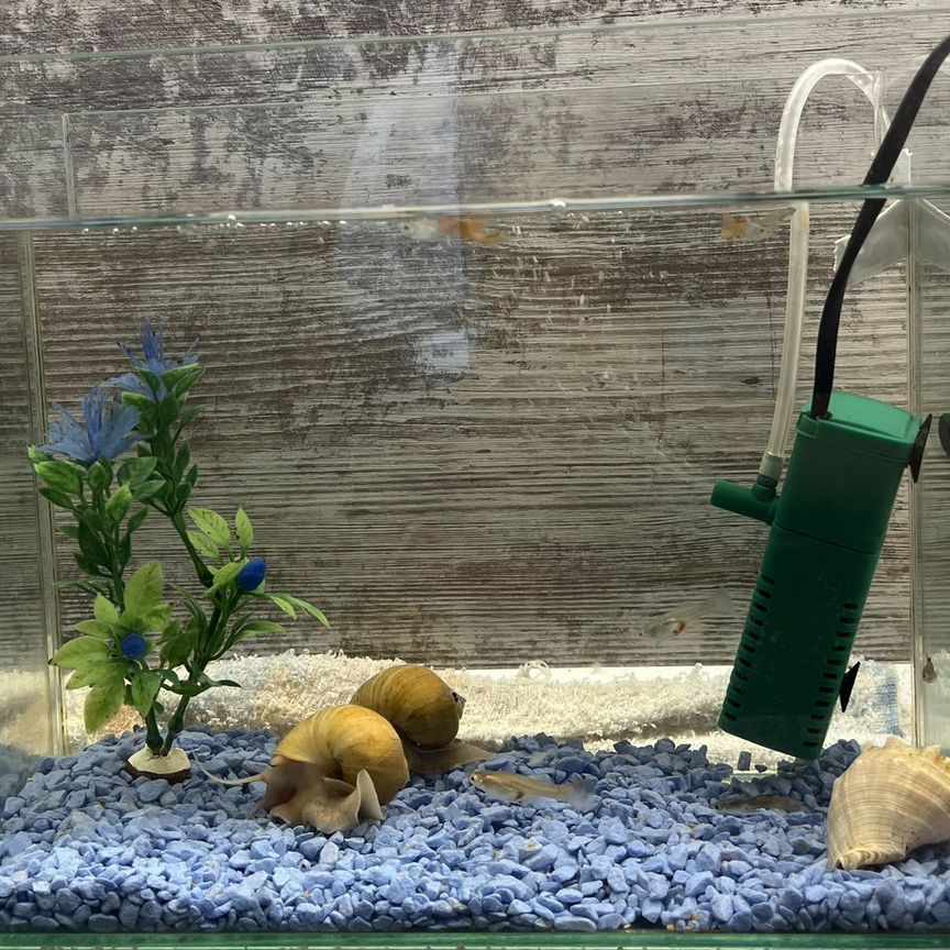 Аквариум для рыб