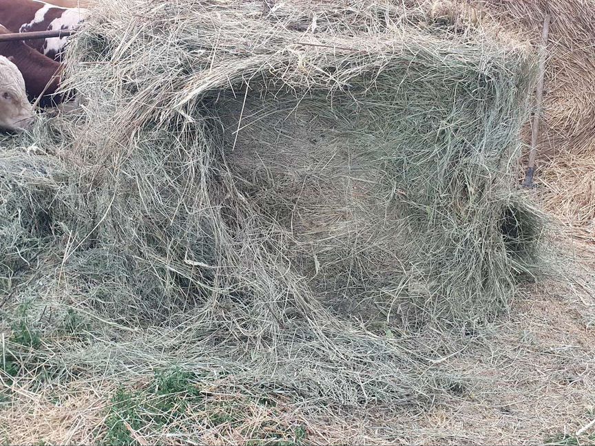 Сено луговое