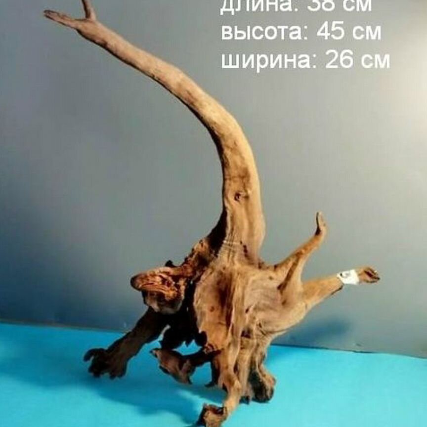 Коряга мангровая для аквариума или террариума вк53