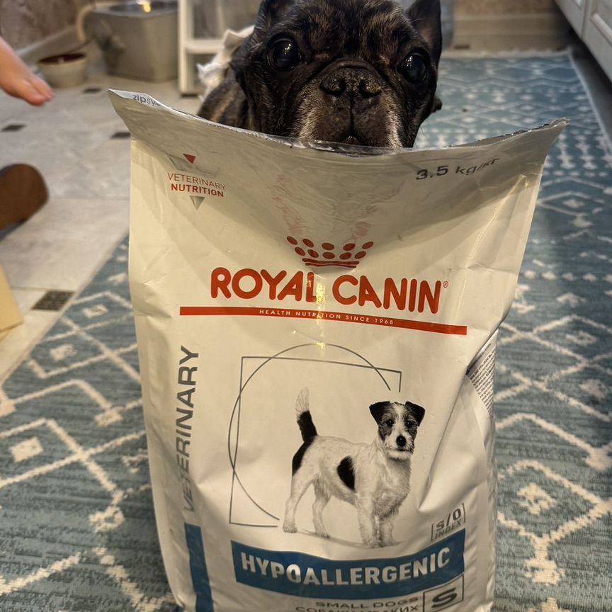 Корм для собак royal canin гипоаллергенный