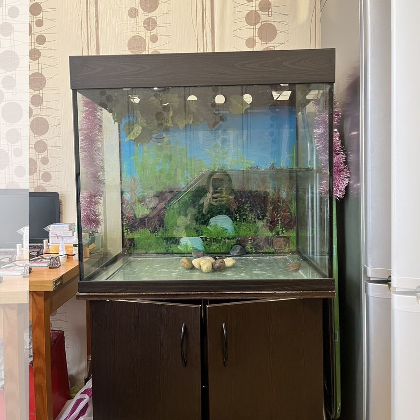 Аквариум для красноухой черепахи 300 литров