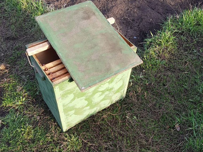 Ловушки для пчел с рамками