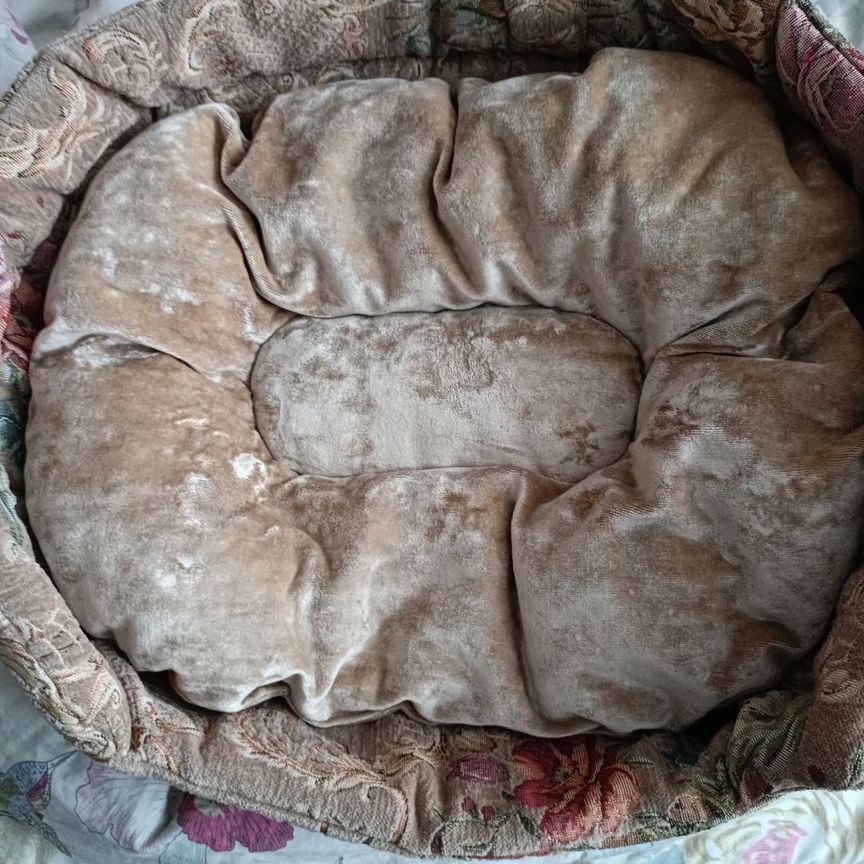 Лежанка для кошки или маленькой собачки