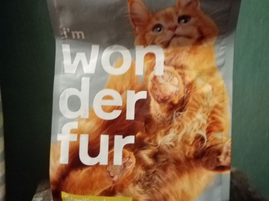 Корм для кошек