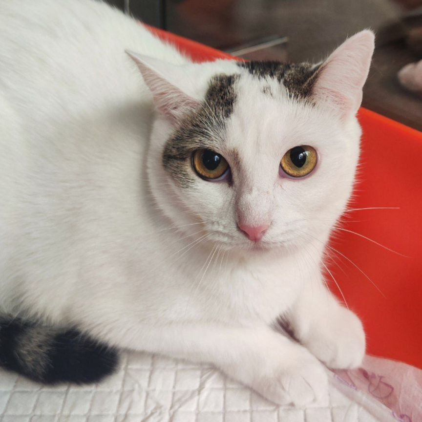 Пара дней на поиск дома для подростка Ксюши