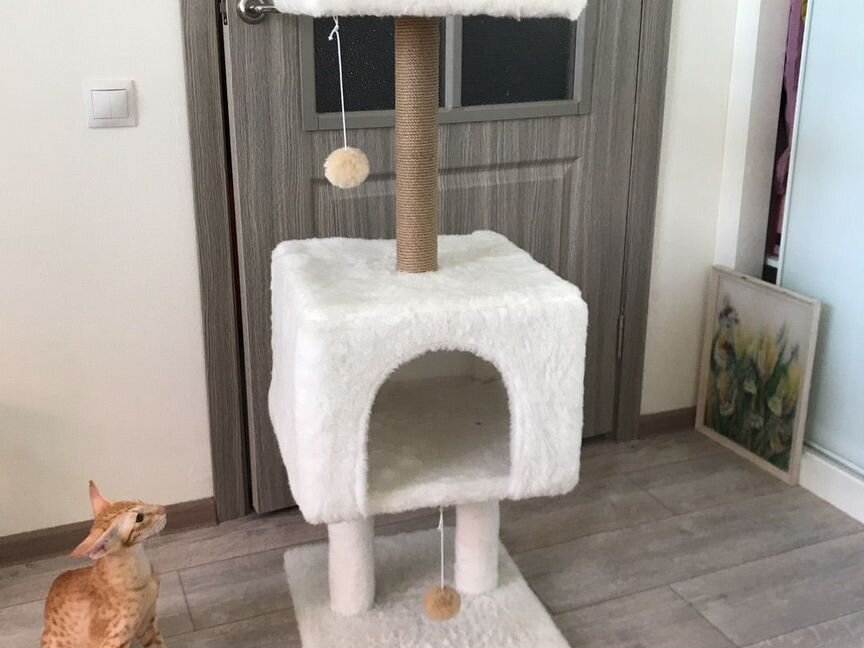 Дом для кошки с когтеточкой