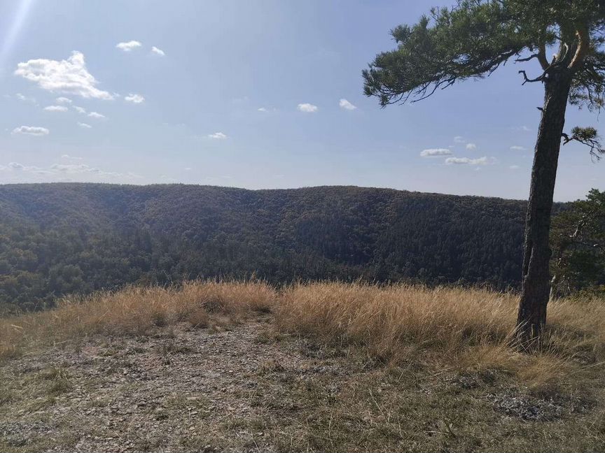 Пшеница, комбикорм