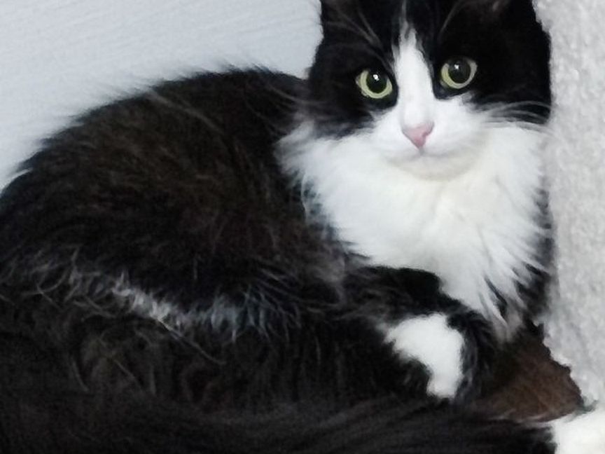 Умерла старушка