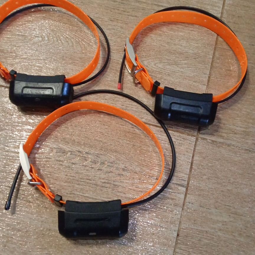 Ошейники Garmin DC40 Европа