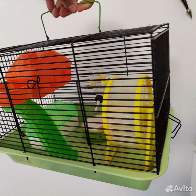 Хомяк с клеткой с набором все для джунгарика
