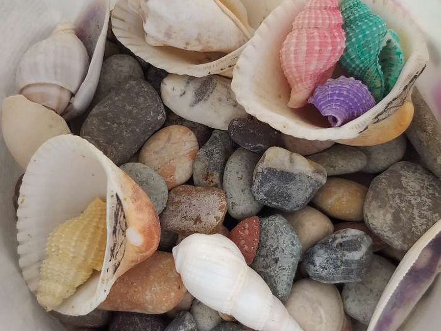 Морские ракушки и камушки