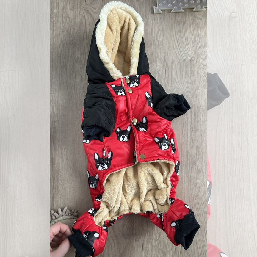 Одежда для собак