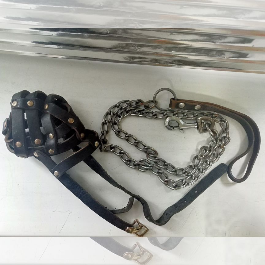 Намордник для собак