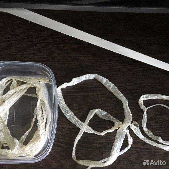 Выползок змеи