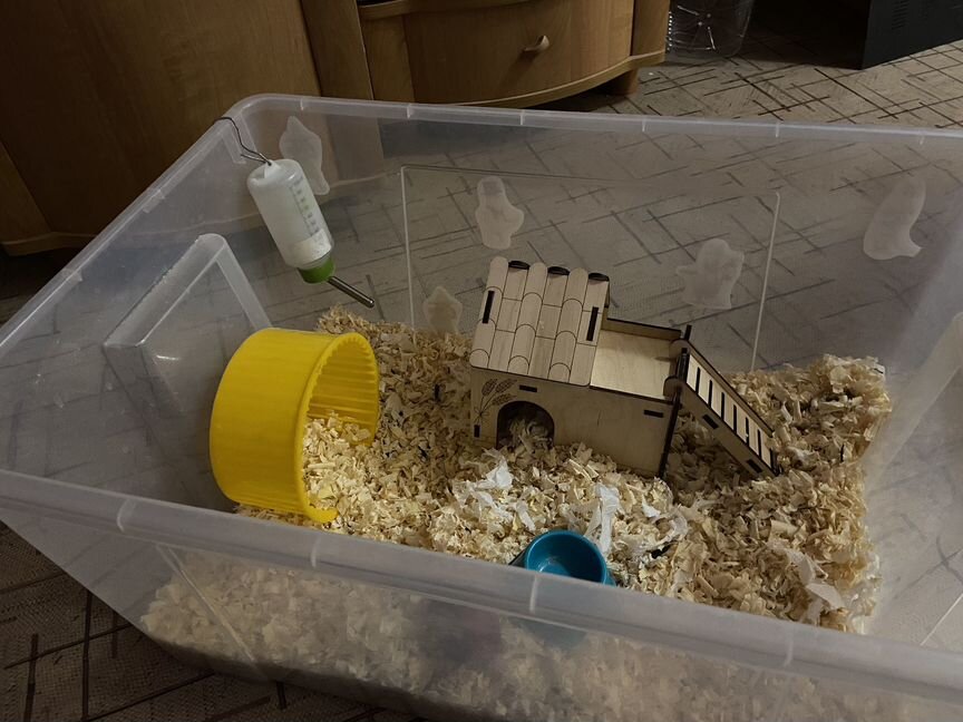 Контейнер для хомяка