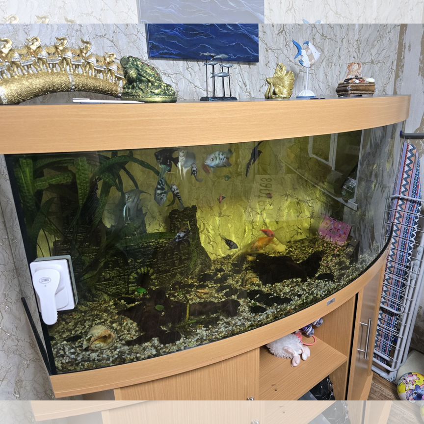 Аквариум с тумбой 500 литров Juwel aqwarium