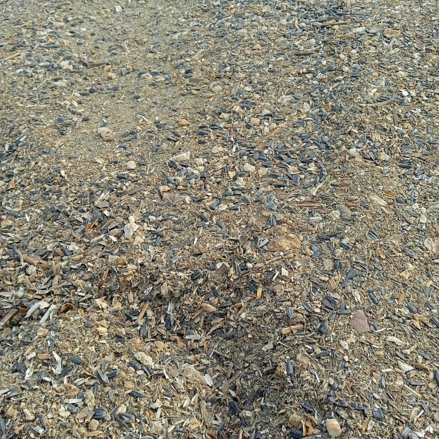 Отходы семечек