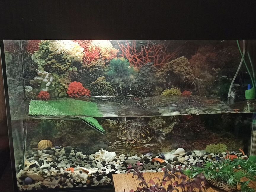 Аквариум на 80 литров