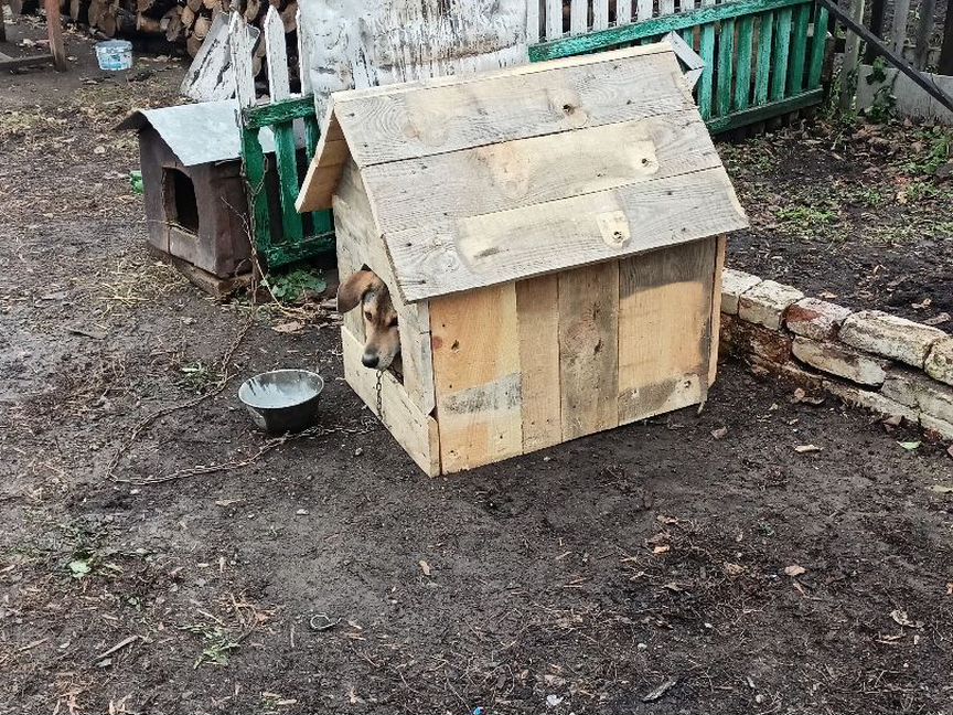 Конура для собаки