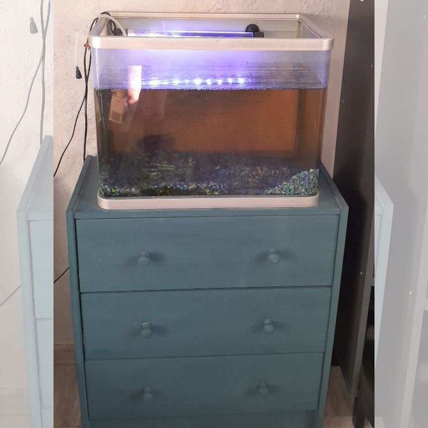 Аквариум бу с рыбками