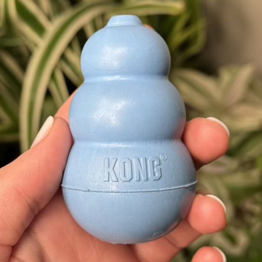 Конг для собак