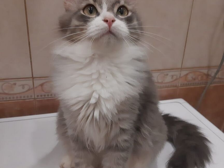 Просто Милашка