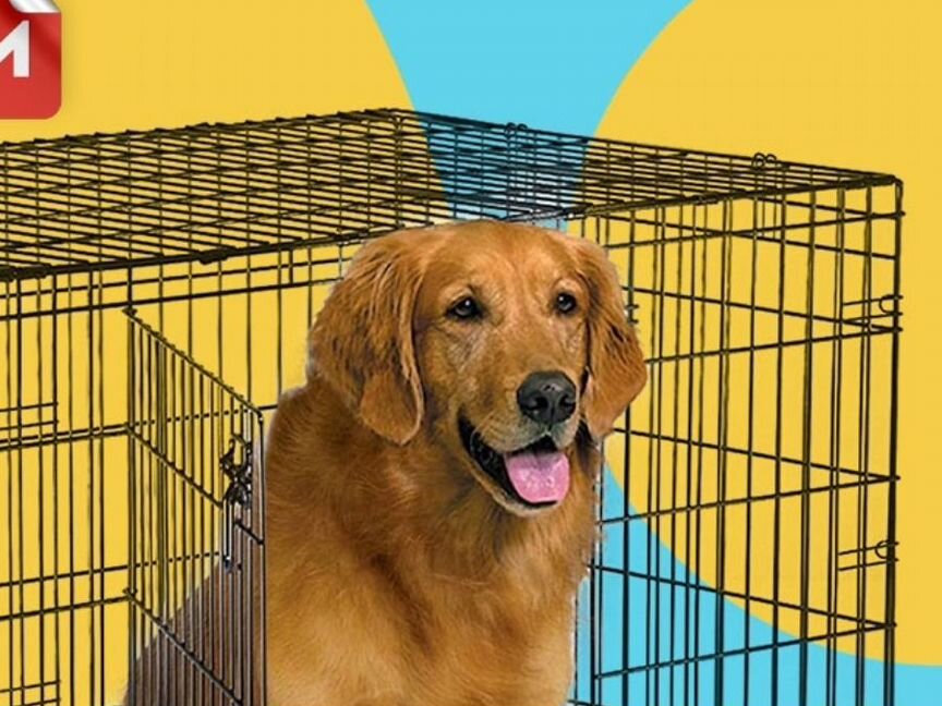 Сдам в аренду клетку